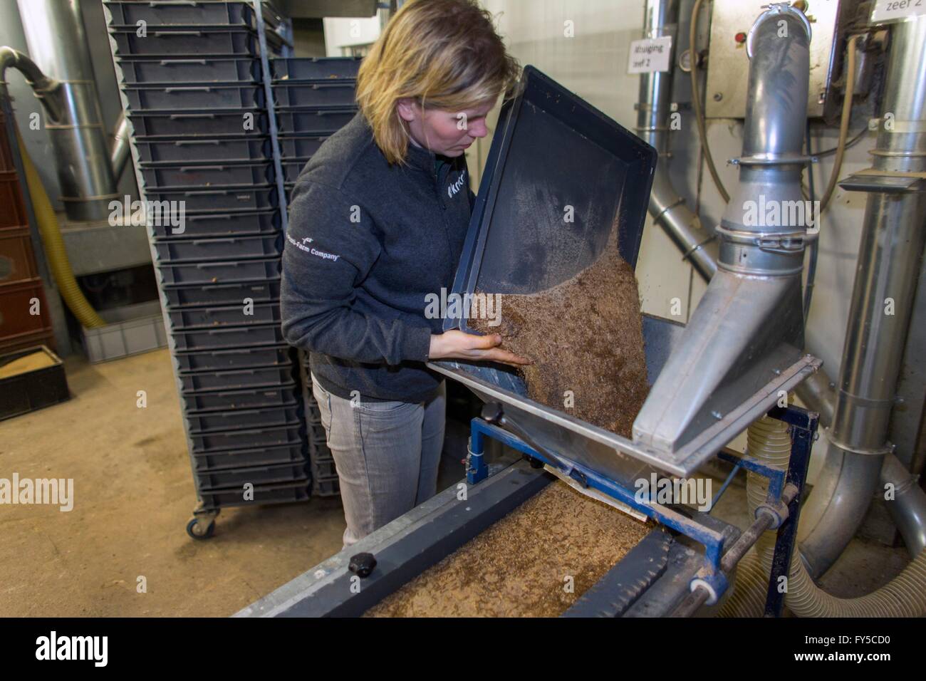 Pet feed machine hi-res stock photography and images - Alamy