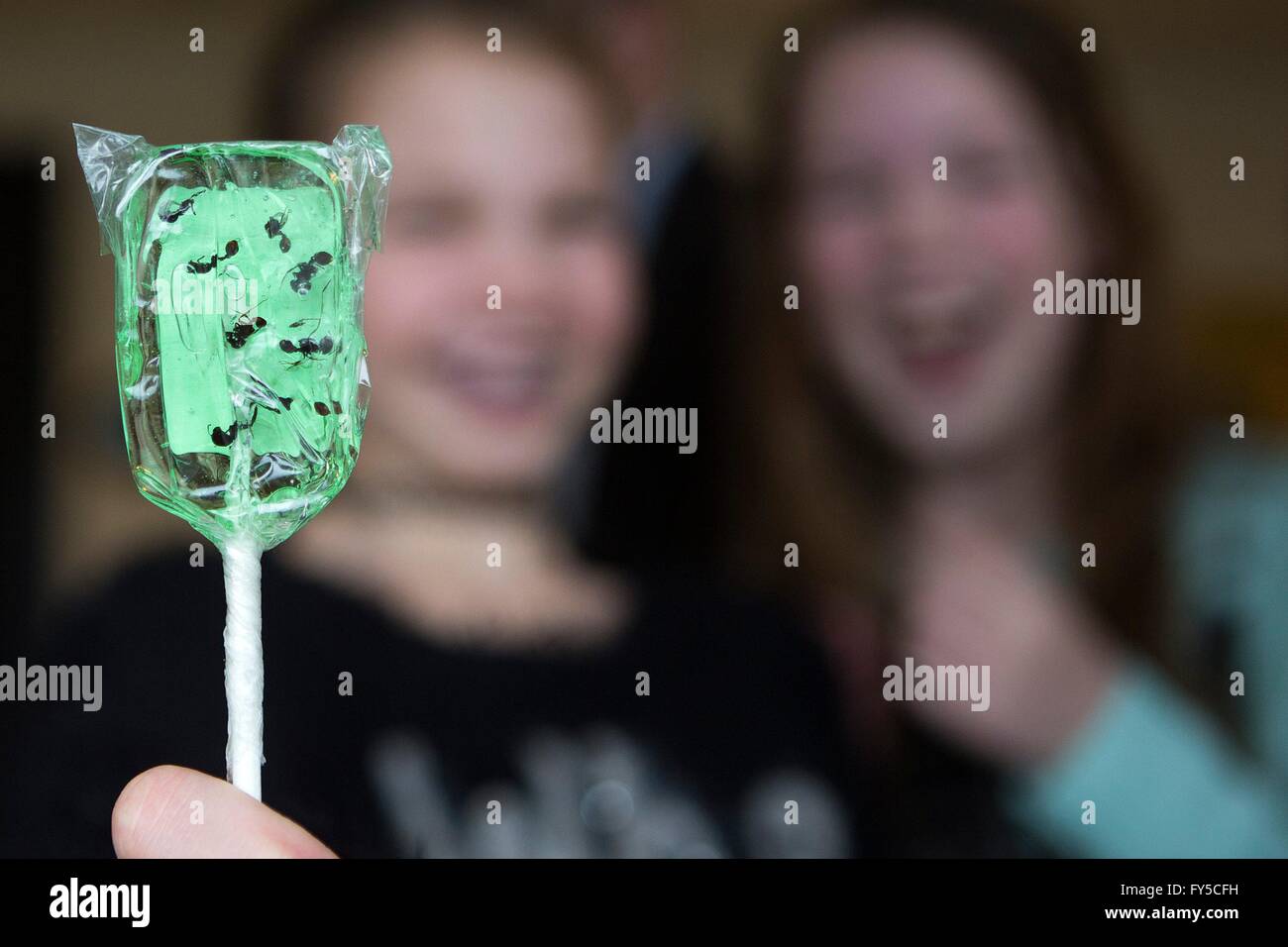 lollypop with insects (ants) inside Stock Photo - Alamy