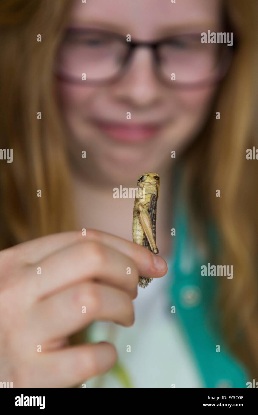 Education of edible insects at a primary school in the Netherlands ...