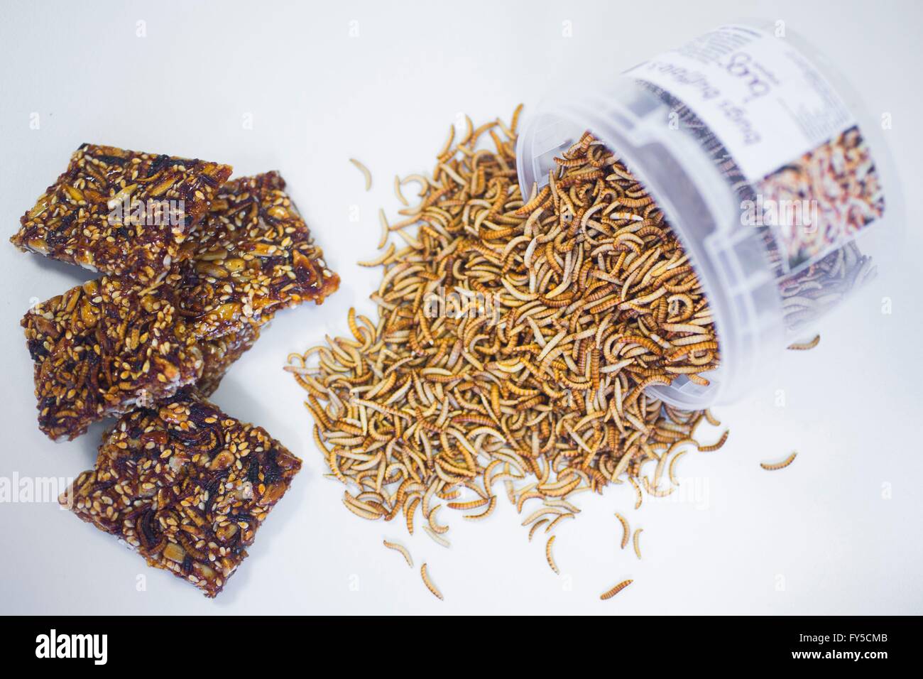 large scale production of edible insects in Holland High energy and ...