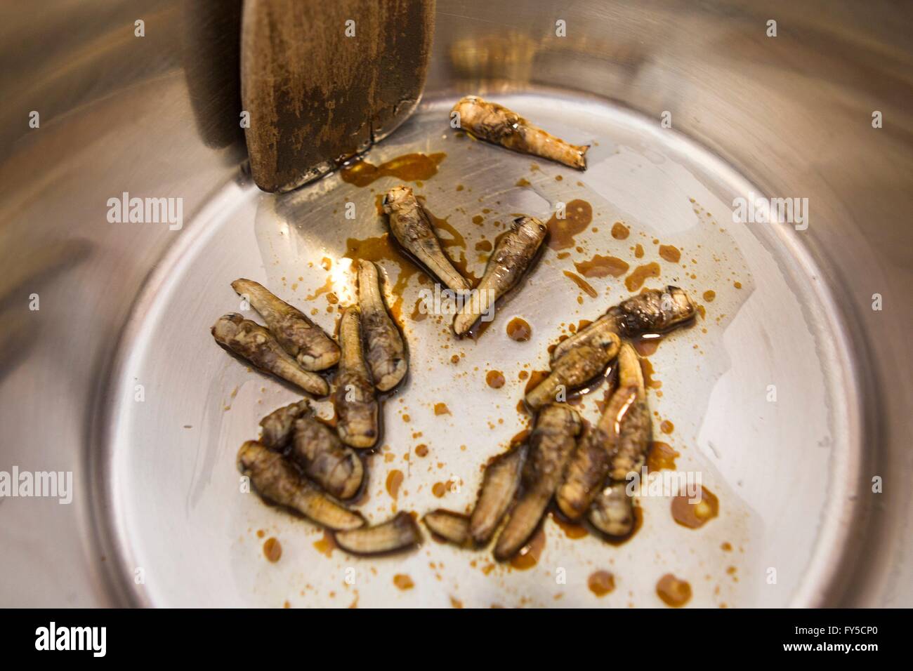 cooking insects as a new protein source Stock Photo - Alamy