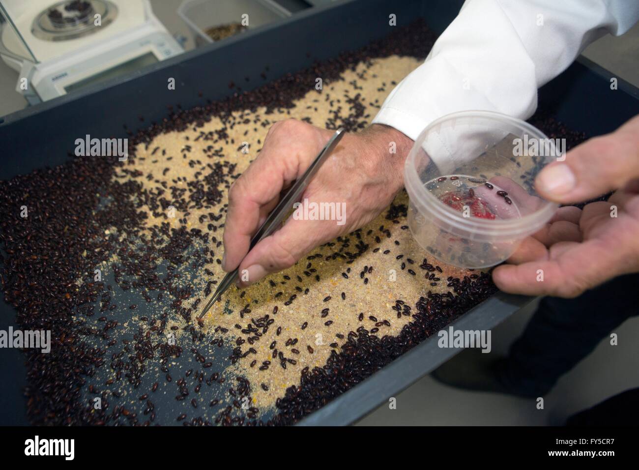 Improving food production hi-res stock photography and images - Alamy