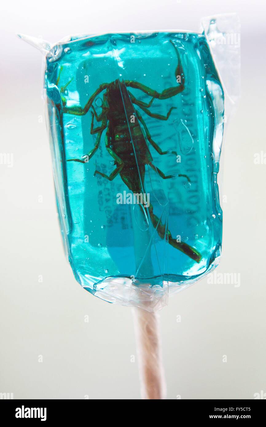 lollypop with insects (scorpion) inside Stock Photo - Alamy