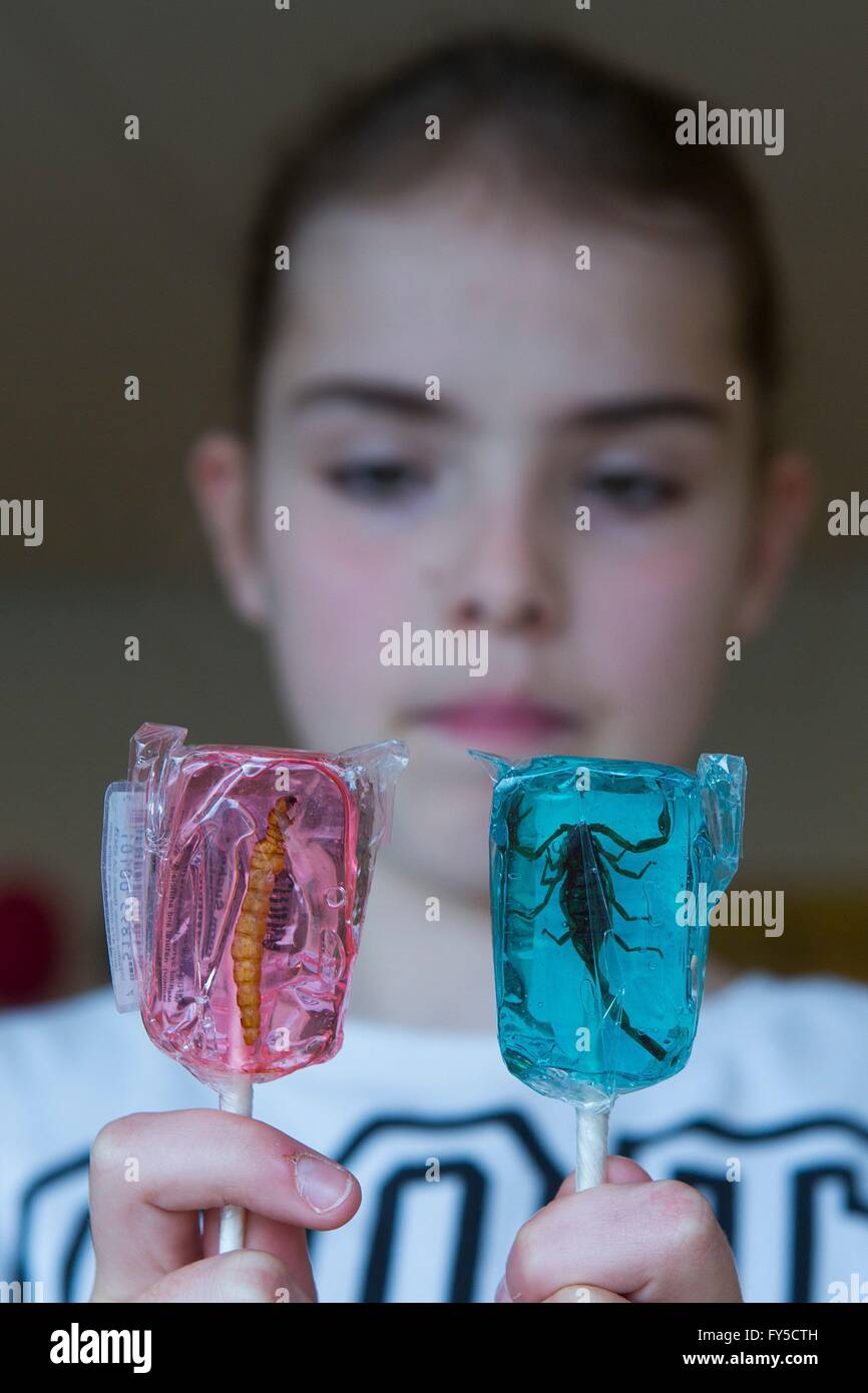 lollypop with insects (worm and scorpion) inside Stock Photo - Alamy
