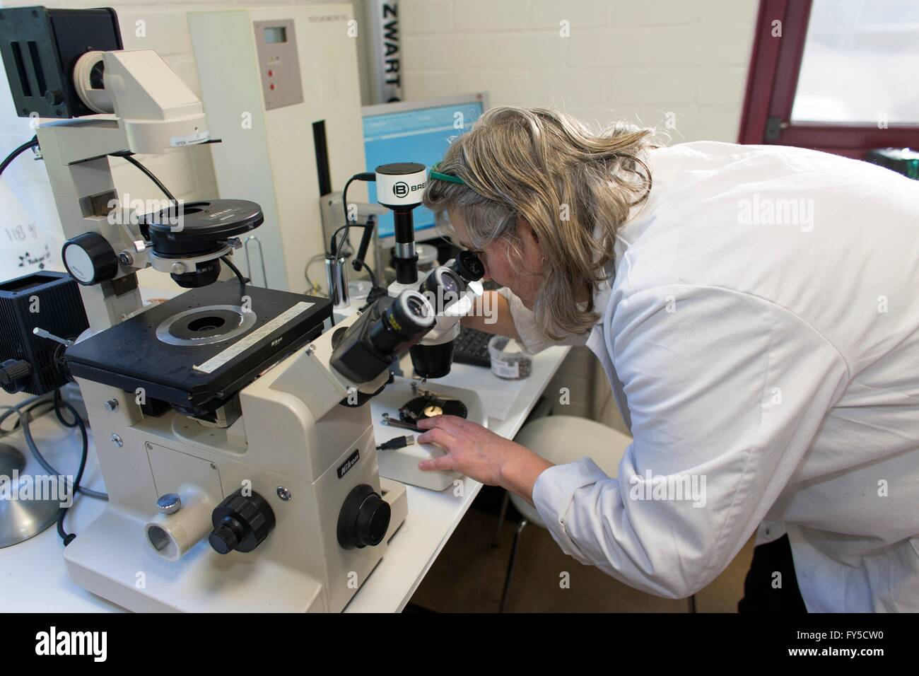 Microscope lab insects hi-res stock photography and images - Alamy