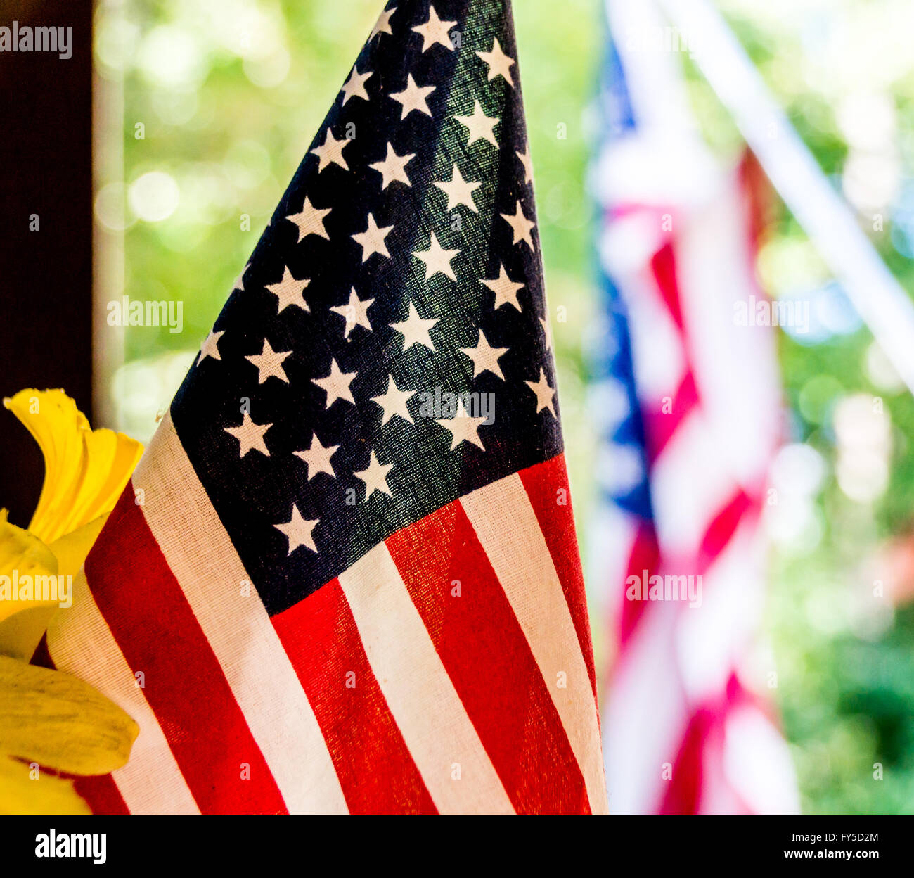 American Flag Flowers High Resolution Stock Photography and Images - Alamy