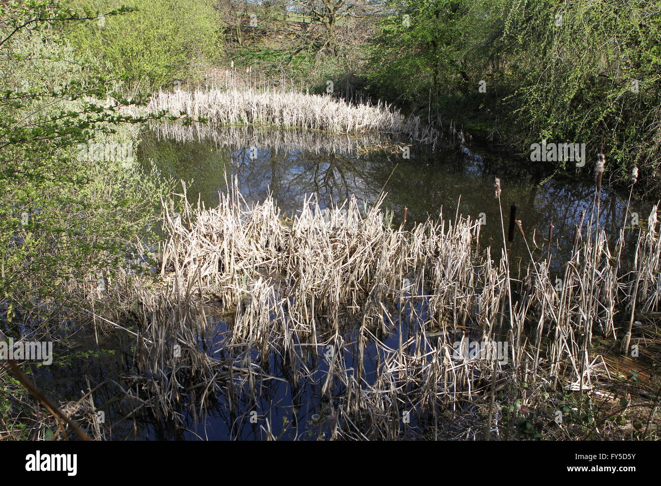 Brick pit pond hi-res stock photography and images - Alamy