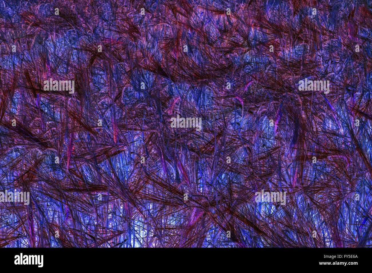 Abstract texture of dyed barley Stock Photo - Alamy