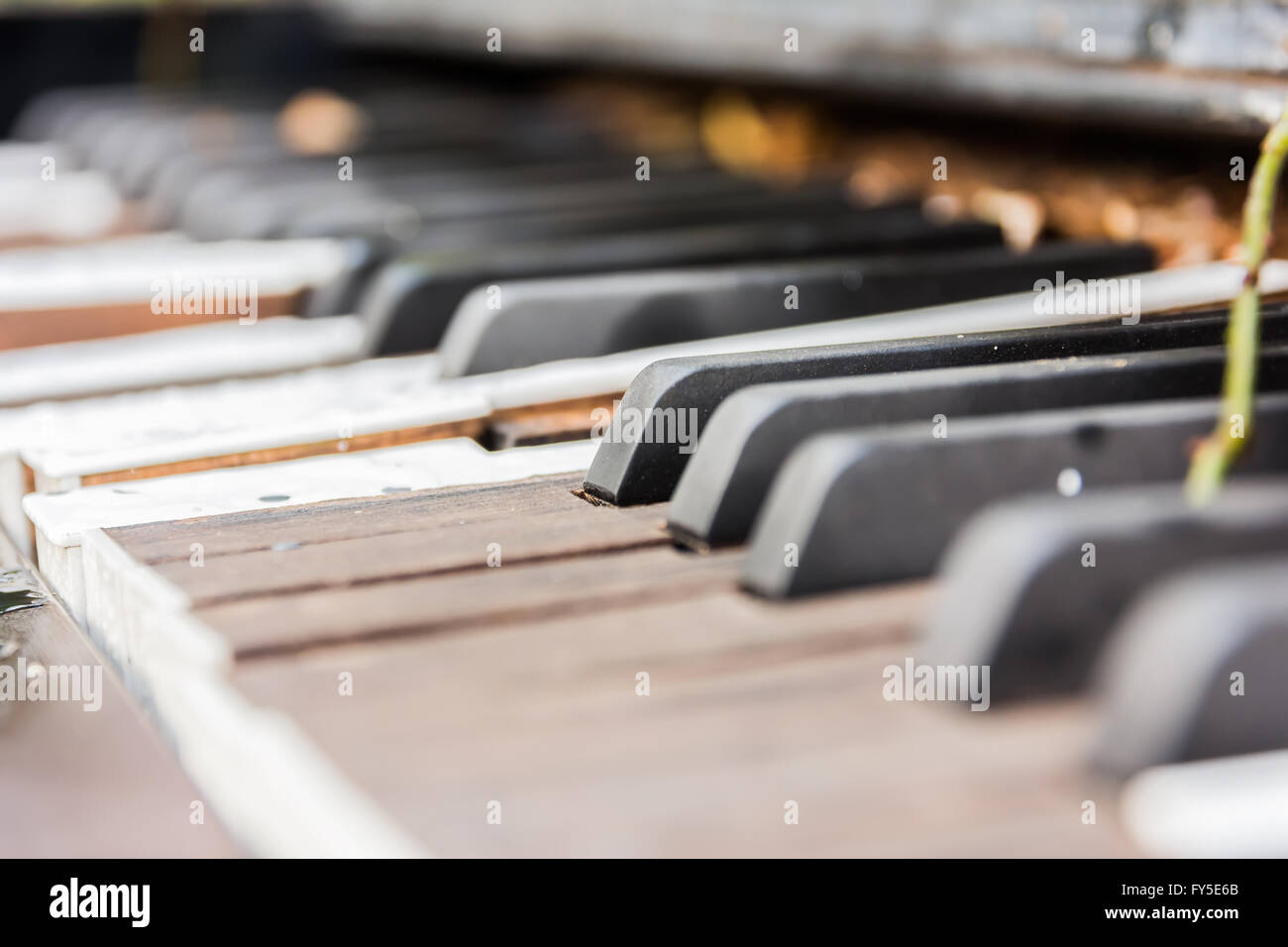 Broken Old Piano Keys Stock Photo - Alamy