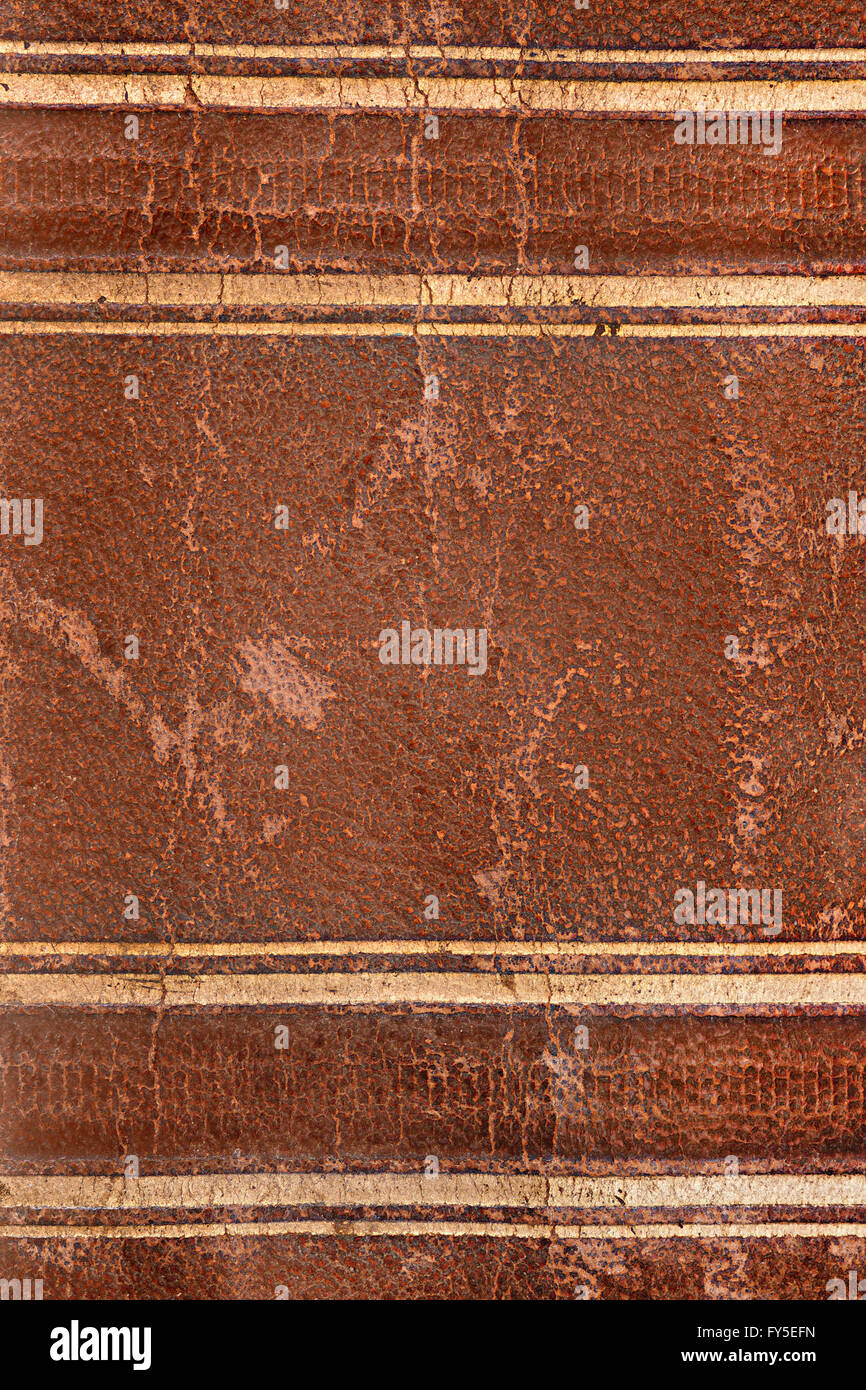 Leather Book Spine Texture