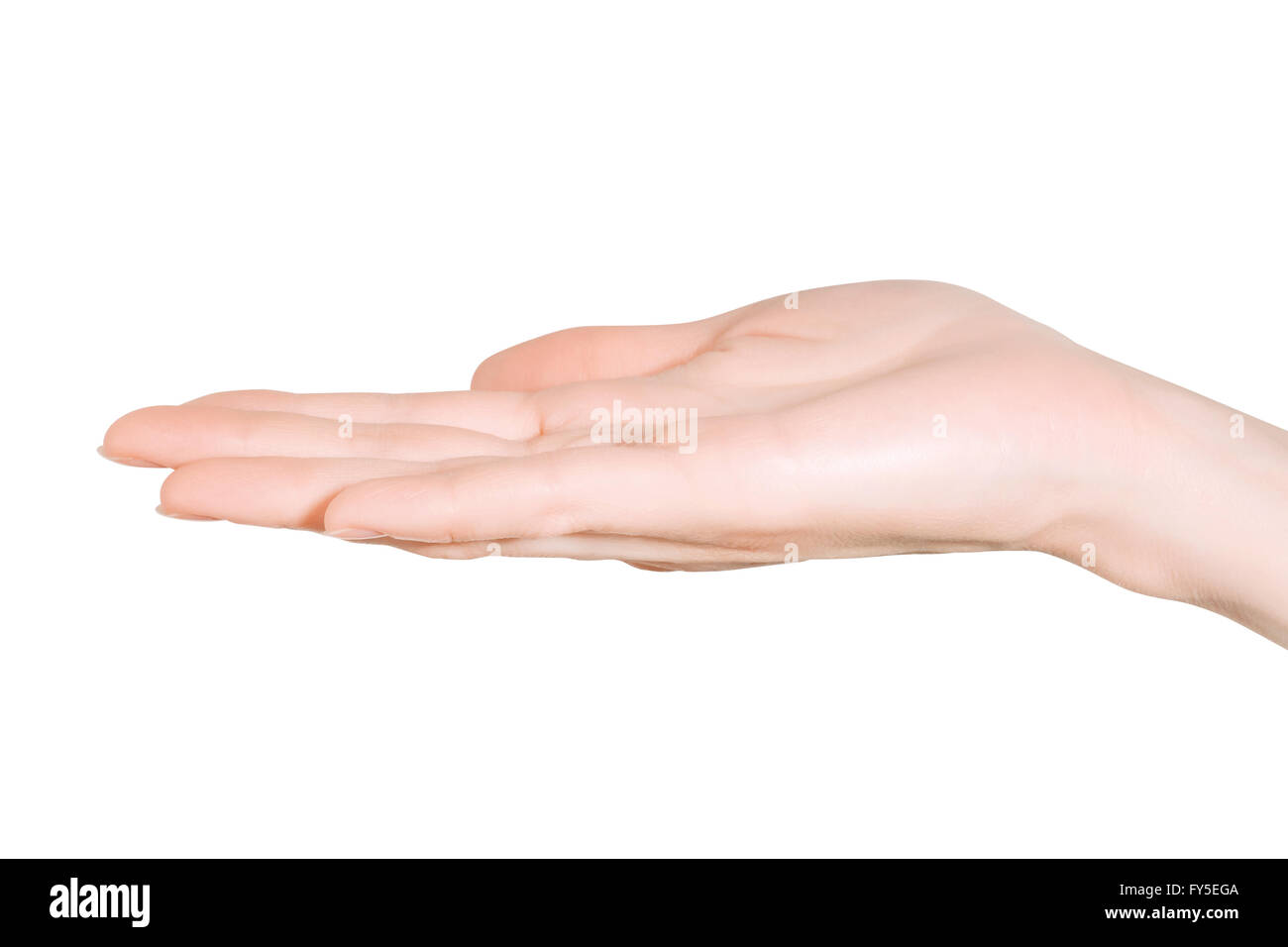 Close up of open woman hand holding something empty on white background ...
