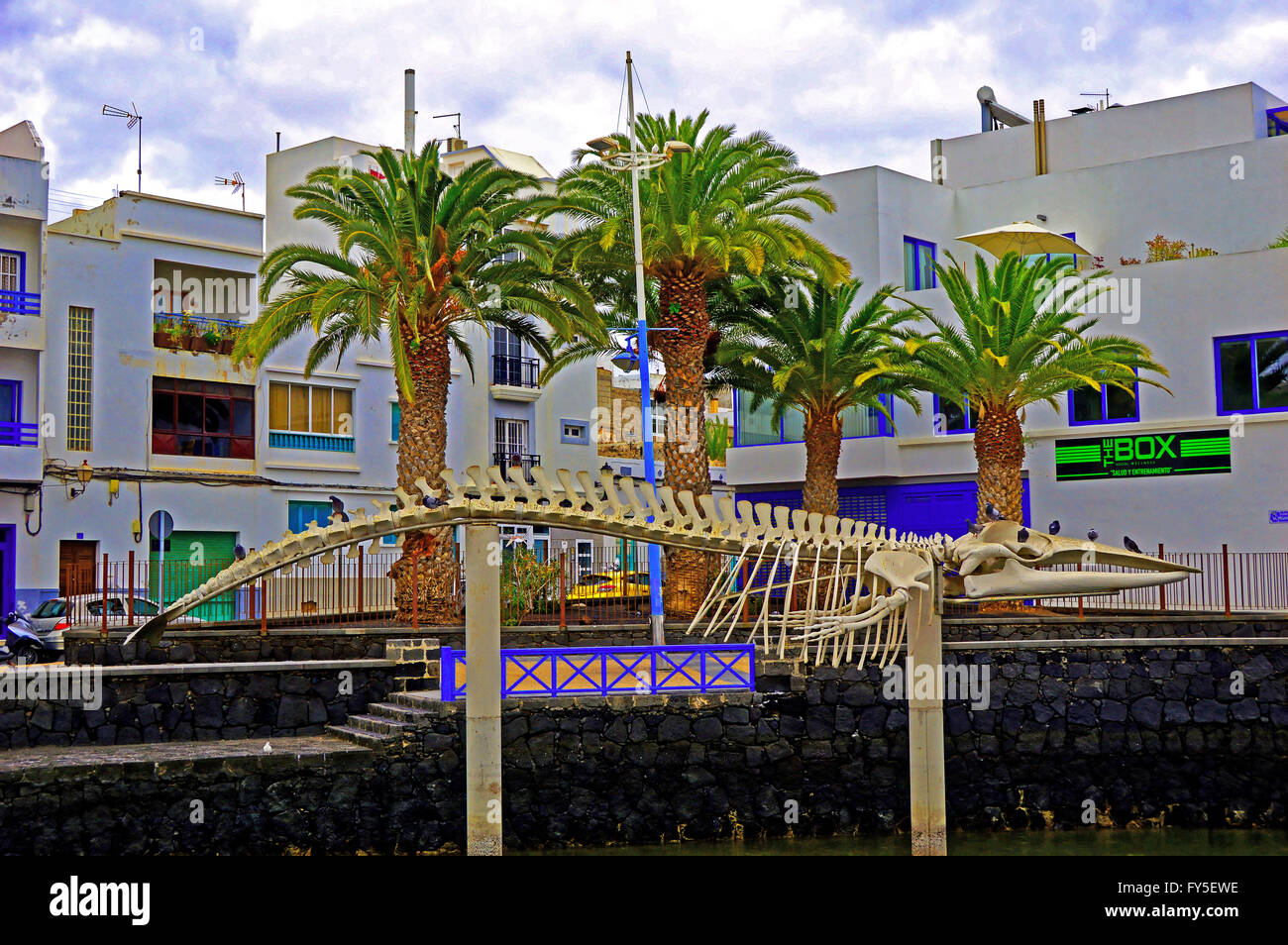 Canary islands Lanzarote beluga skeleton Arrecife harbour Stock Photo ...