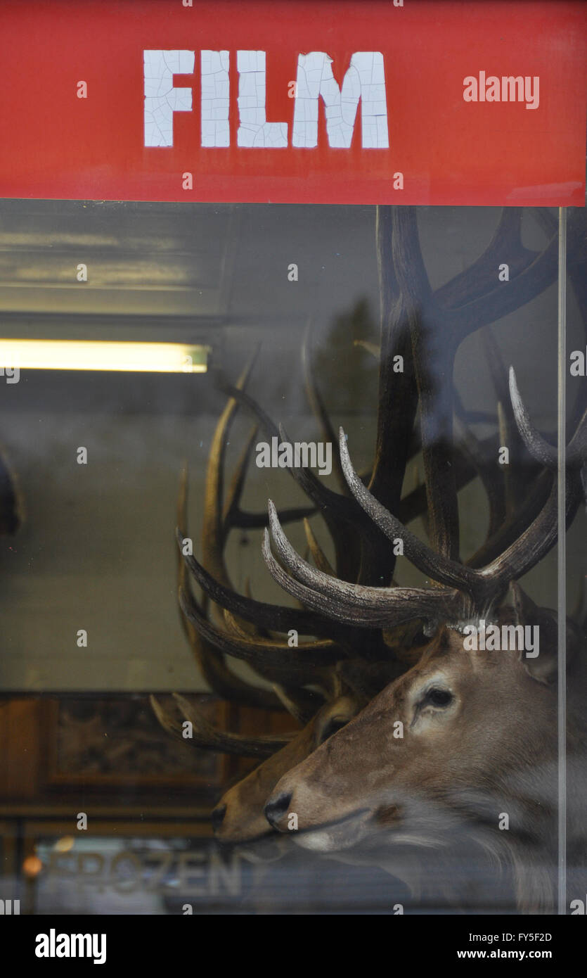 Film the deer hunter hi-res stock photography and images - Alamy