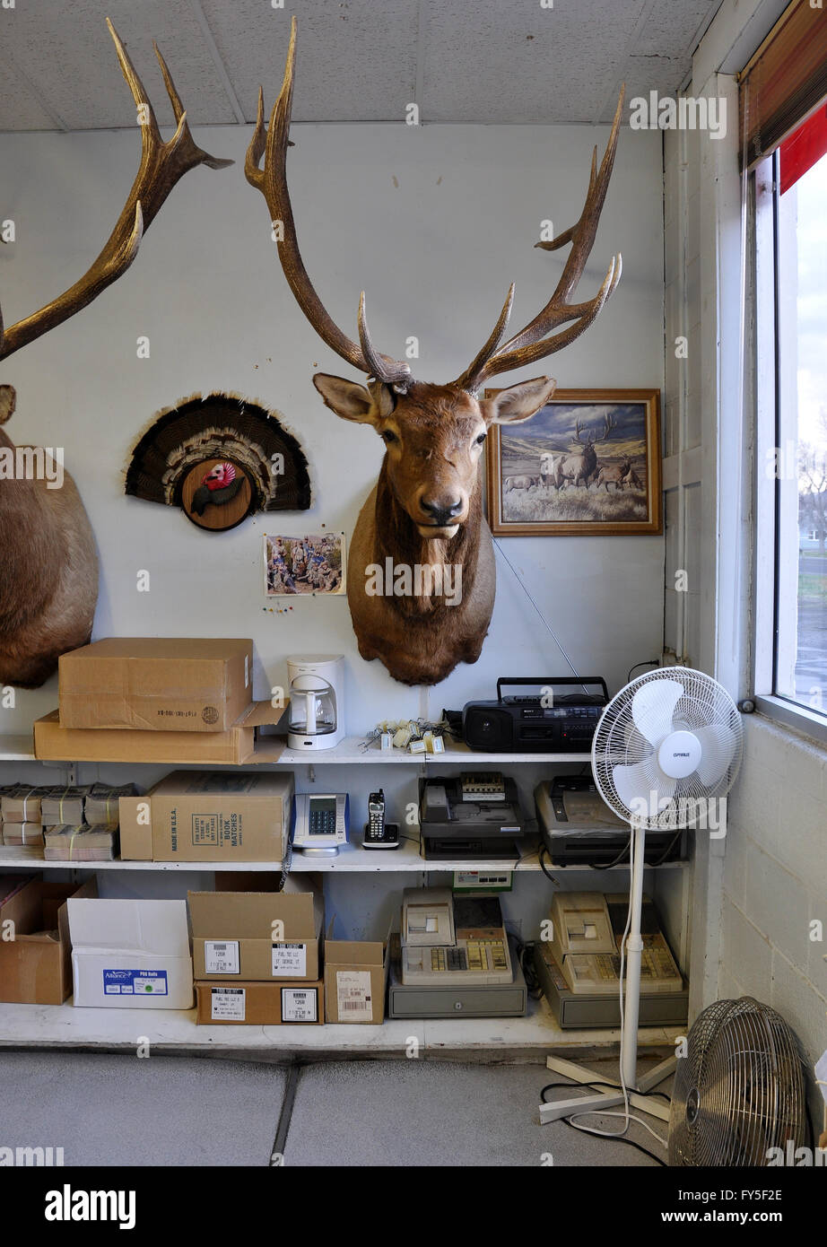 American Convenience Store Stock Photo - Alamy
