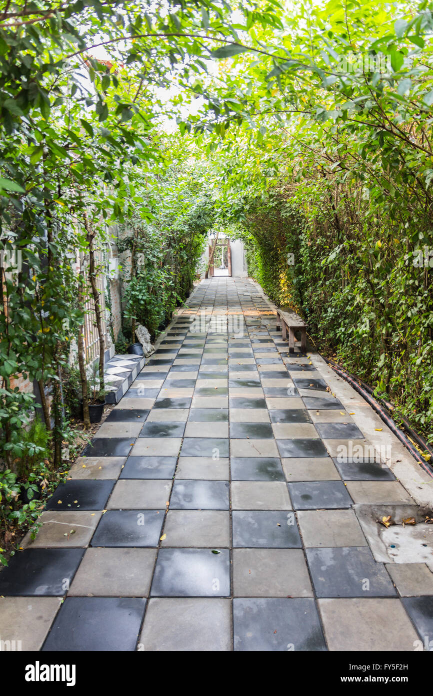 Tunnel pathway covered with green leaves Stock Photo - Alamy
