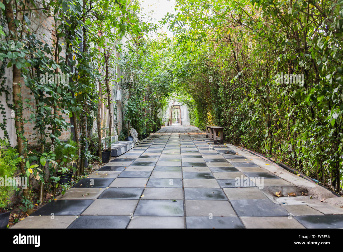 Covered pathway hi-res stock photography and images - Alamy