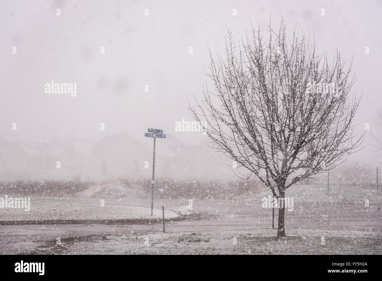 Heavy snowstorm and blizzard Stock Photo - Alamy