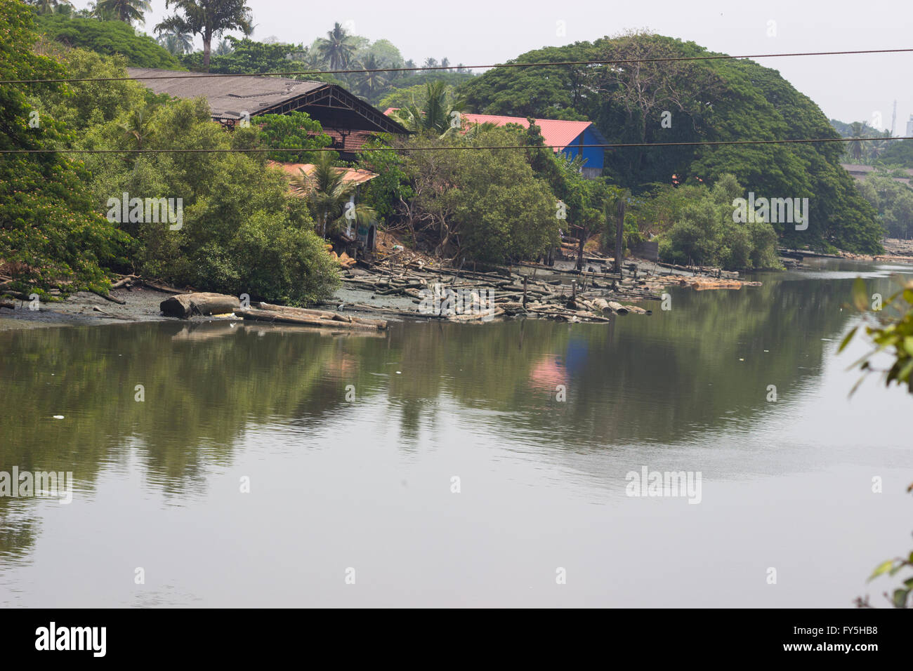Kallayi River (Puzha ) in Kerala Stock Photo - Alamy