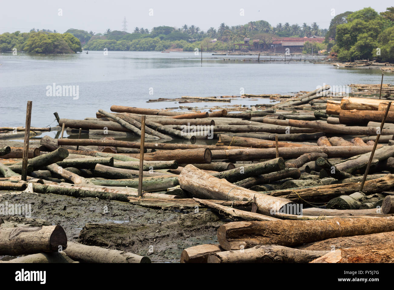 Chaliyar river of kerala hi-res stock photography and images - Alamy