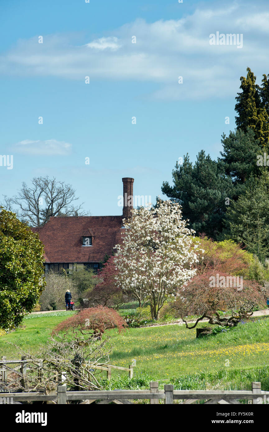 Spring flowers in england hi-res stock photography and images - Alamy
