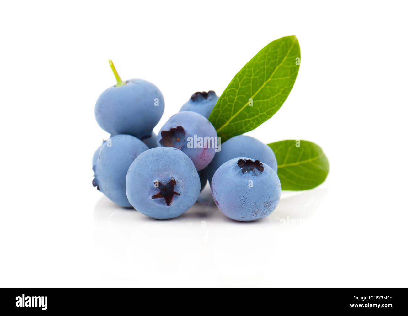 Huckleberry hi-res stock photography and images - Alamy