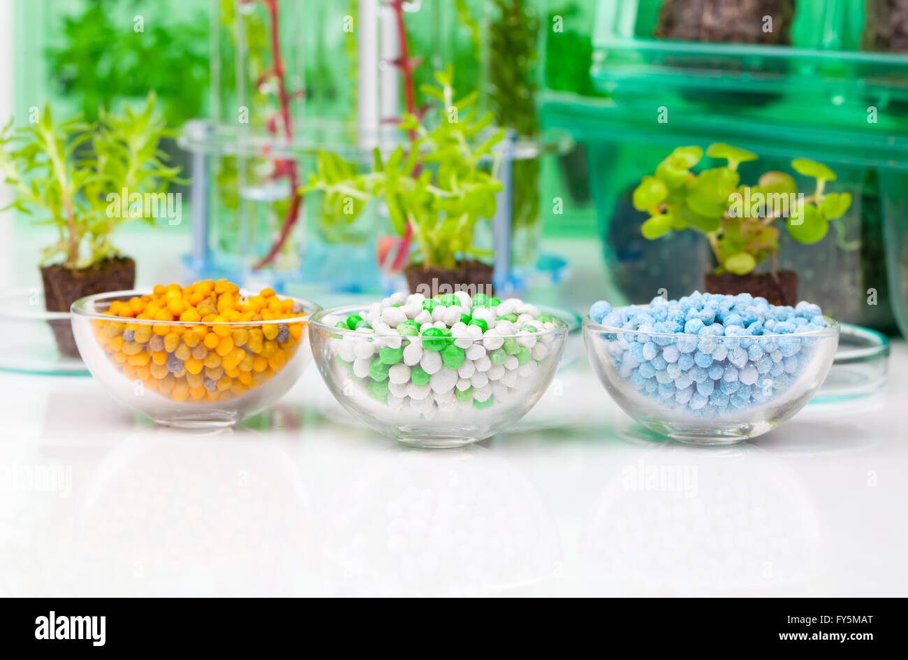 Fertilizers hi-res stock photography and images - Alamy