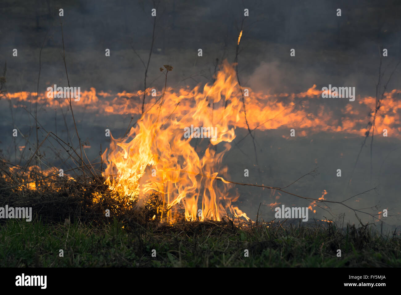 The fire was burning last year's dried plants, smoke and ash Stock ...