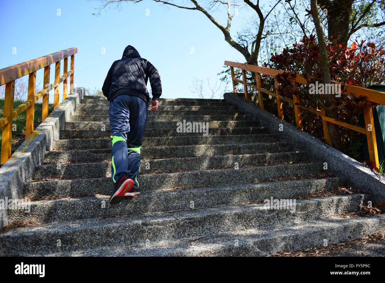 Exercise regularly and eat a healthy , balanced diet Stock Photo - Alamy