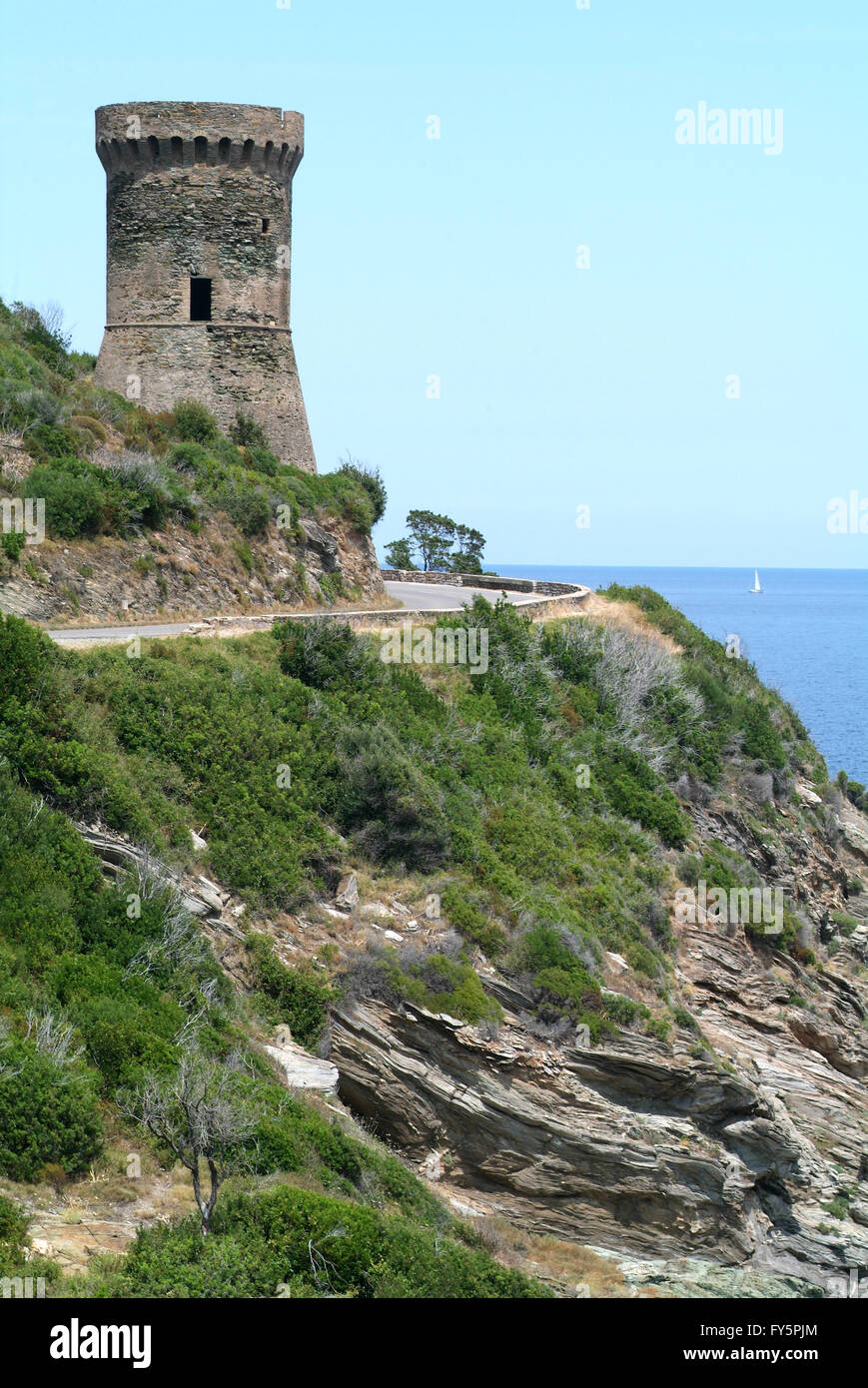 The osse hi-res stock photography and images - Alamy