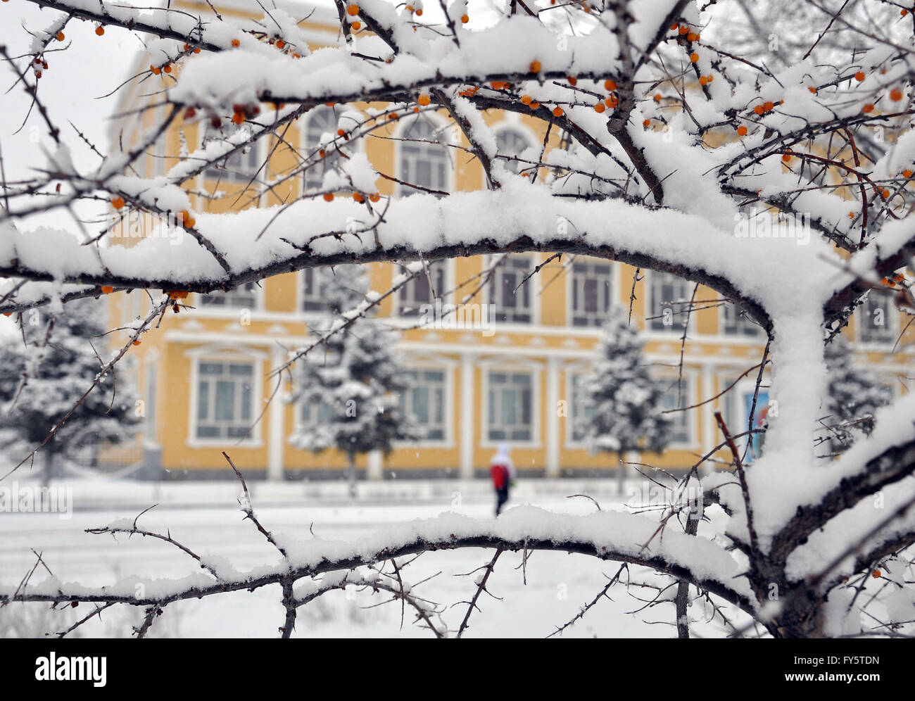 Hulun Buir, China's Inner Mongolia Autonomous Region. 22nd Apr, 2016. A ...