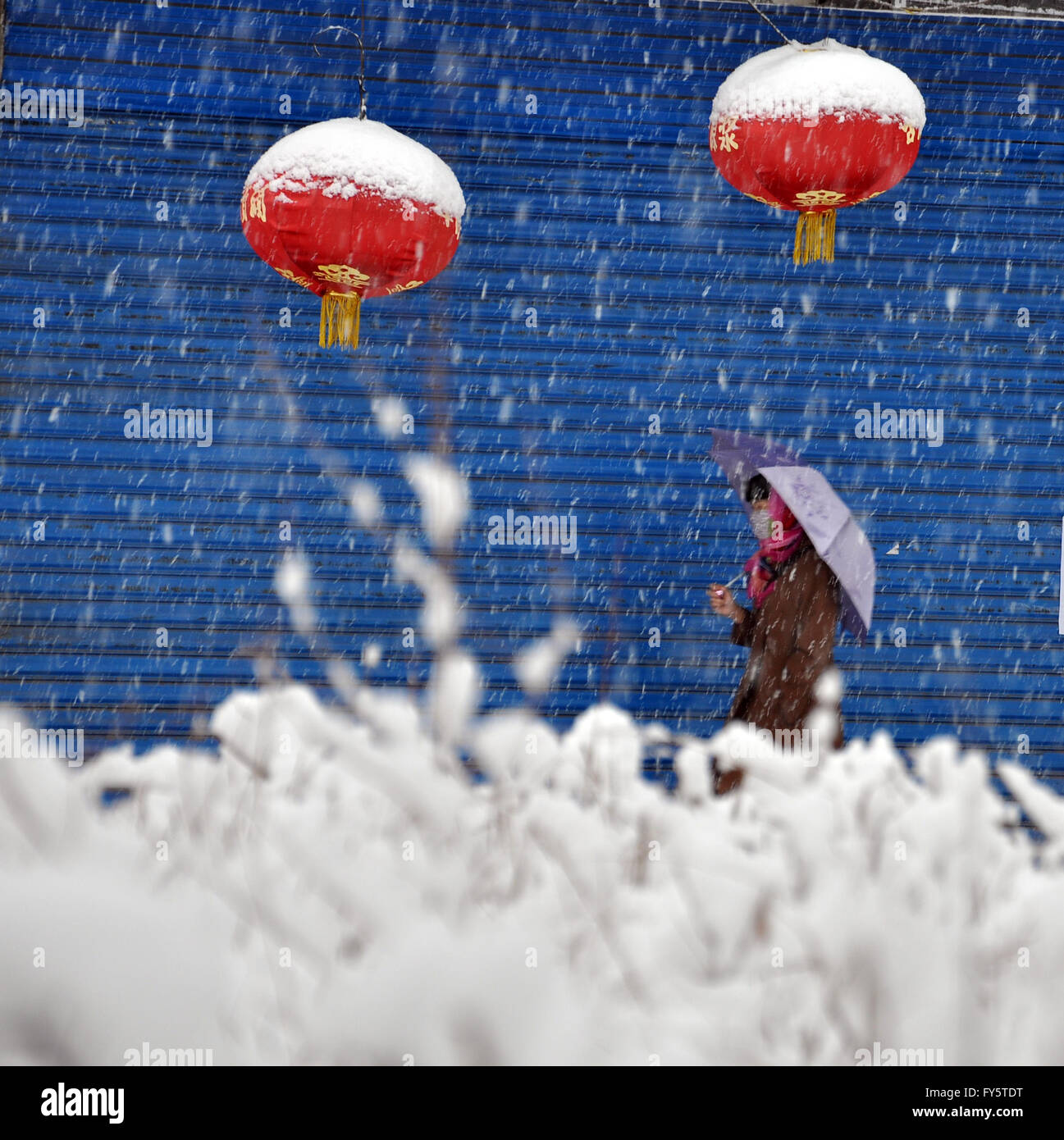 Hulun Buir, China's Inner Mongolia Autonomous Region. 22nd Apr, 2016. A ...