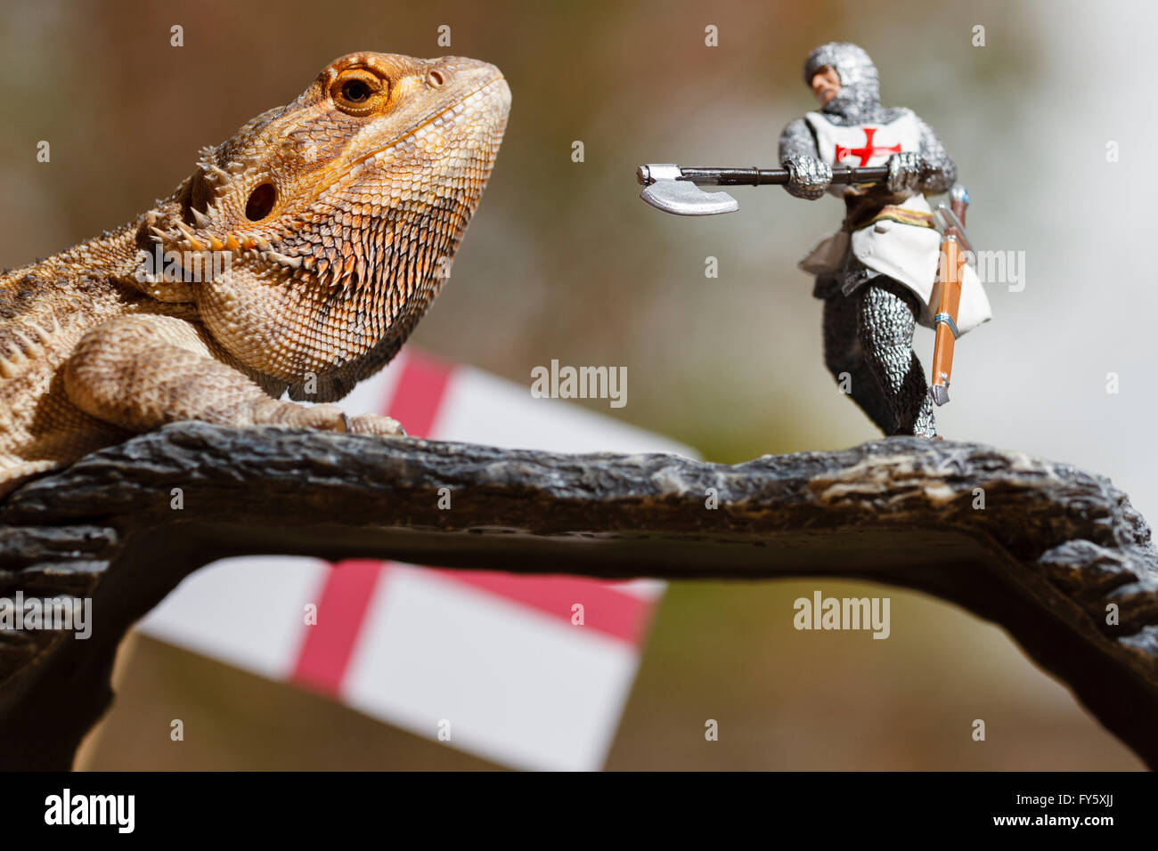 22nd April 2016. As St. George’s Day approaches, dragons across the ...