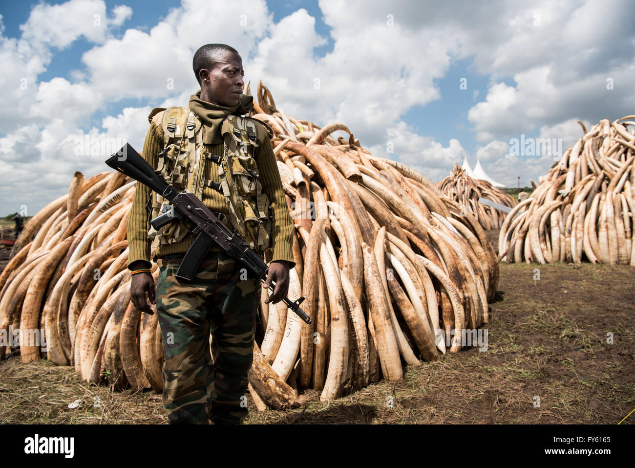 Nairobi, Kenya. 22nd April, 2016. Guards from the Kenya Wildlife ...