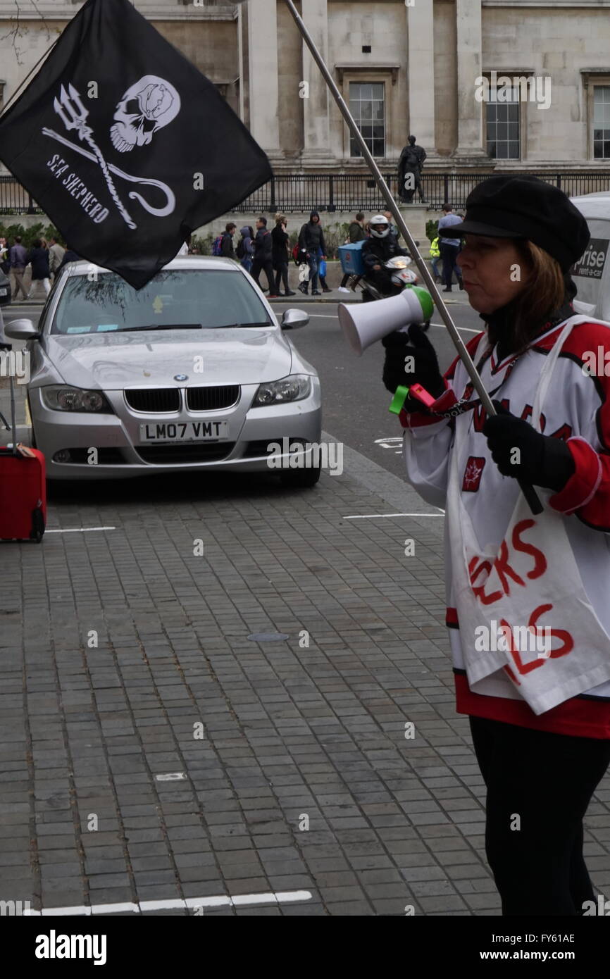 Animal slaughter house uk hi-res stock photography and images - Alamy