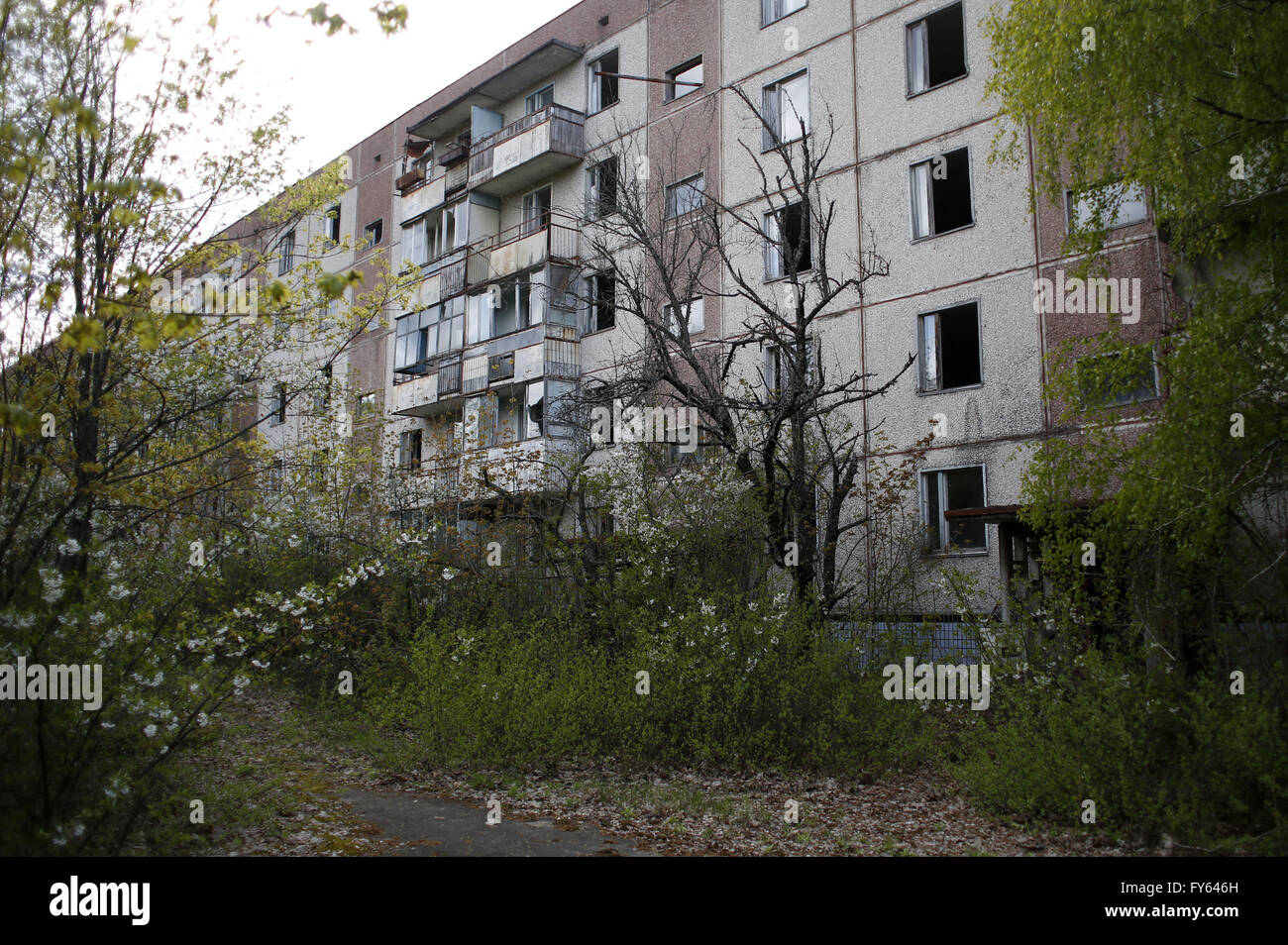 Chernobyl 1986 trees hi-res stock photography and images - Alamy
