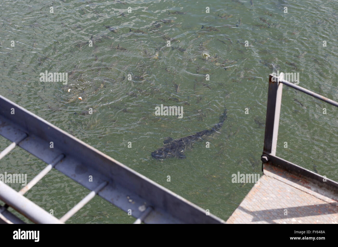 Cooling channel hi-res stock photography and images - Alamy