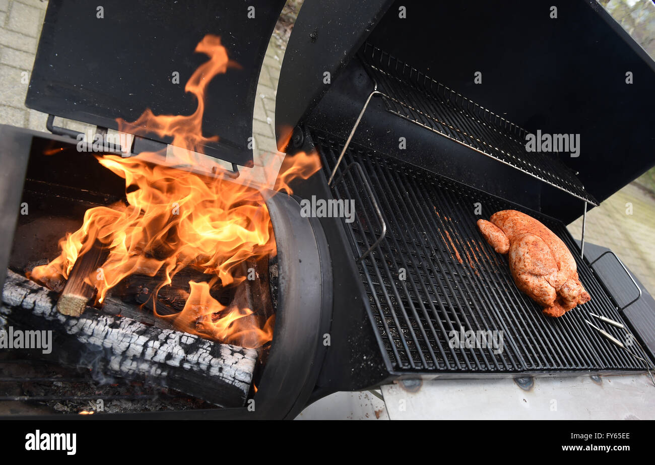 Bremen, Germany. 20th Apr, 2016. A chicken and a temperature sensor on ...