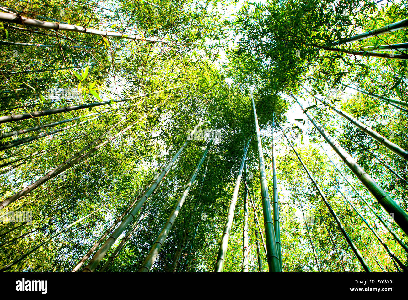 Landscape B Vol.1 Stock Photo - Alamy