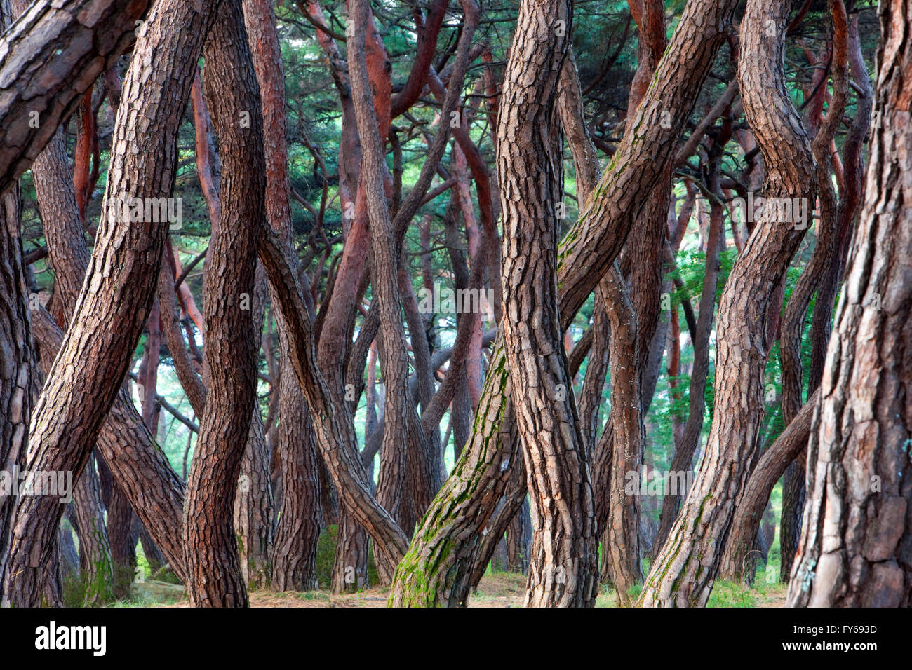 Landscape B Vol.1 Stock Photo - Alamy