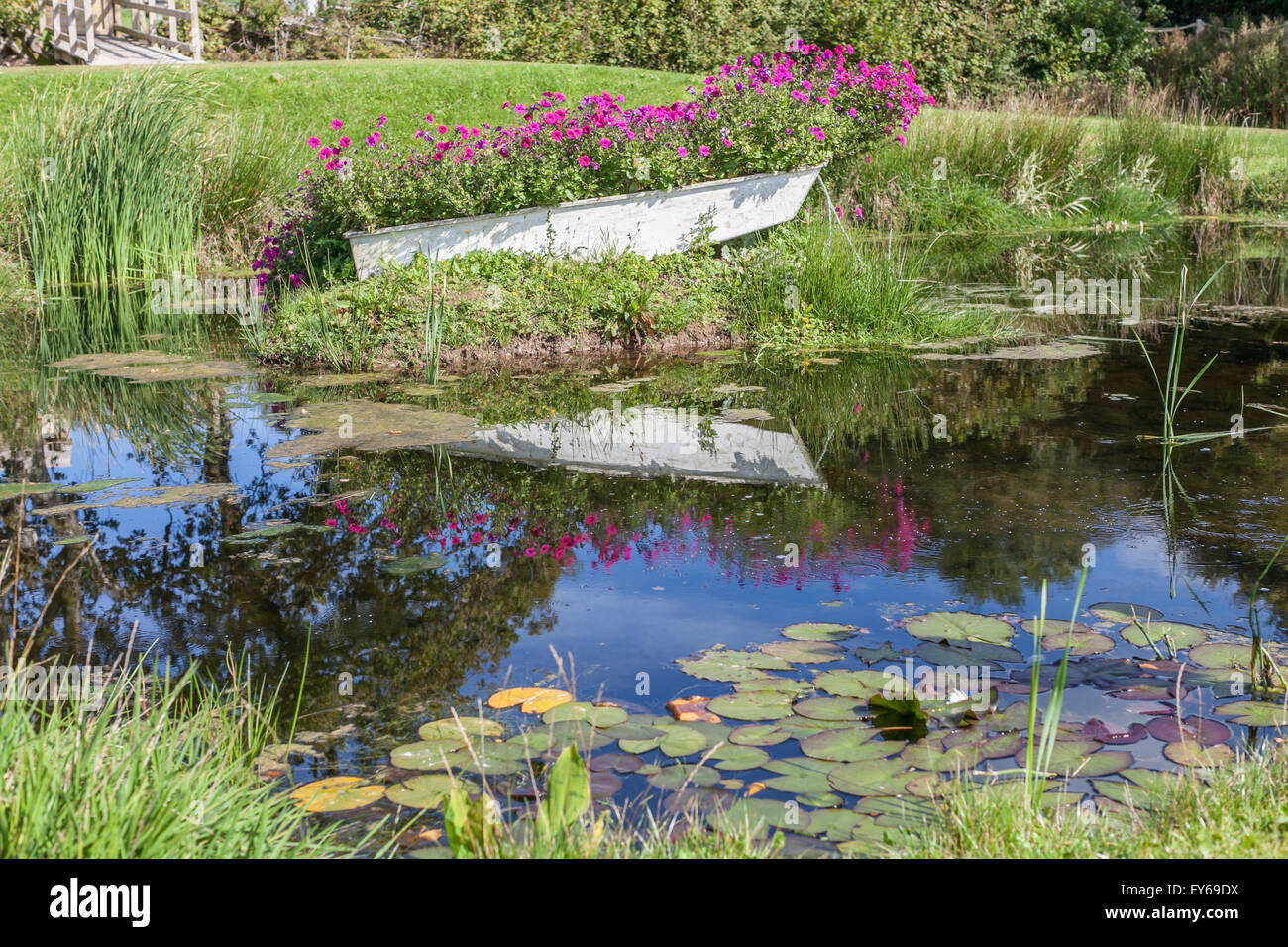 White rowing boat full of flowers on an island in a pond Stock Photo ...