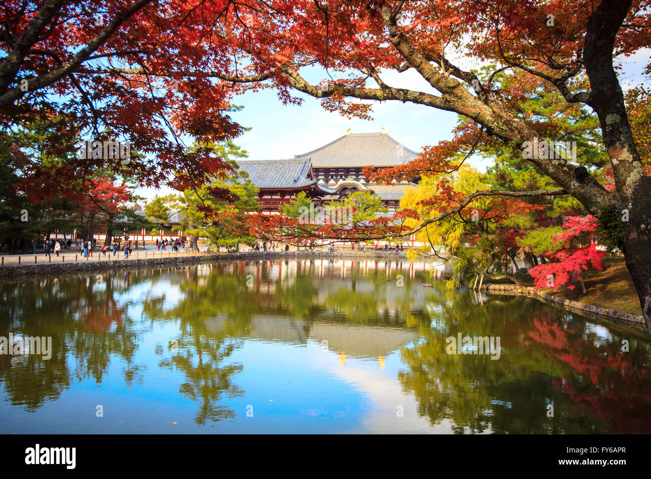 The Fall season of Nara with nice maple color Stock Photo - Alamy