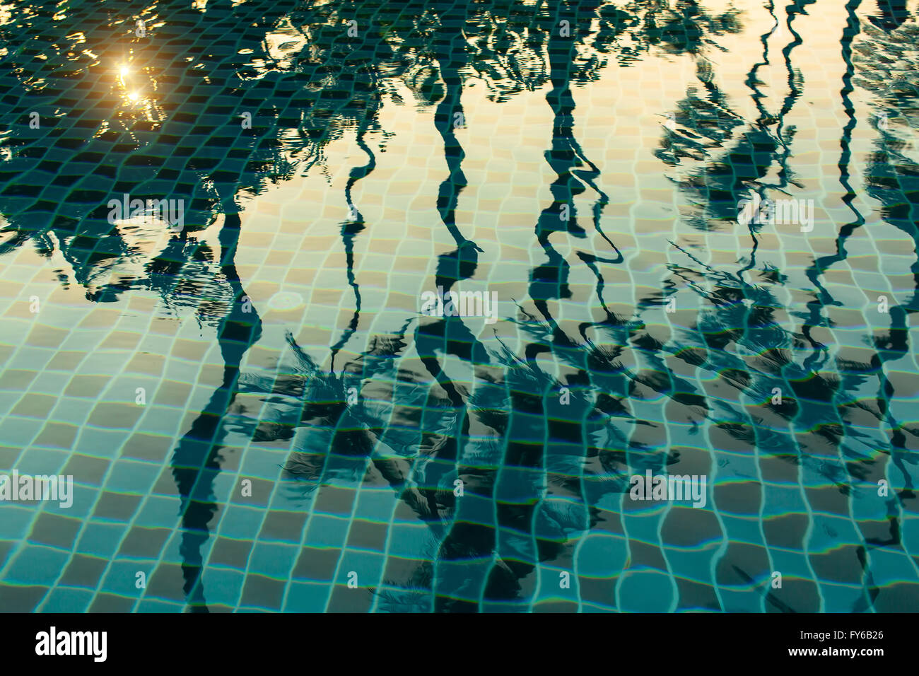 Reflection of palm trees in the pool water in Sunny weather Stock Photo ...