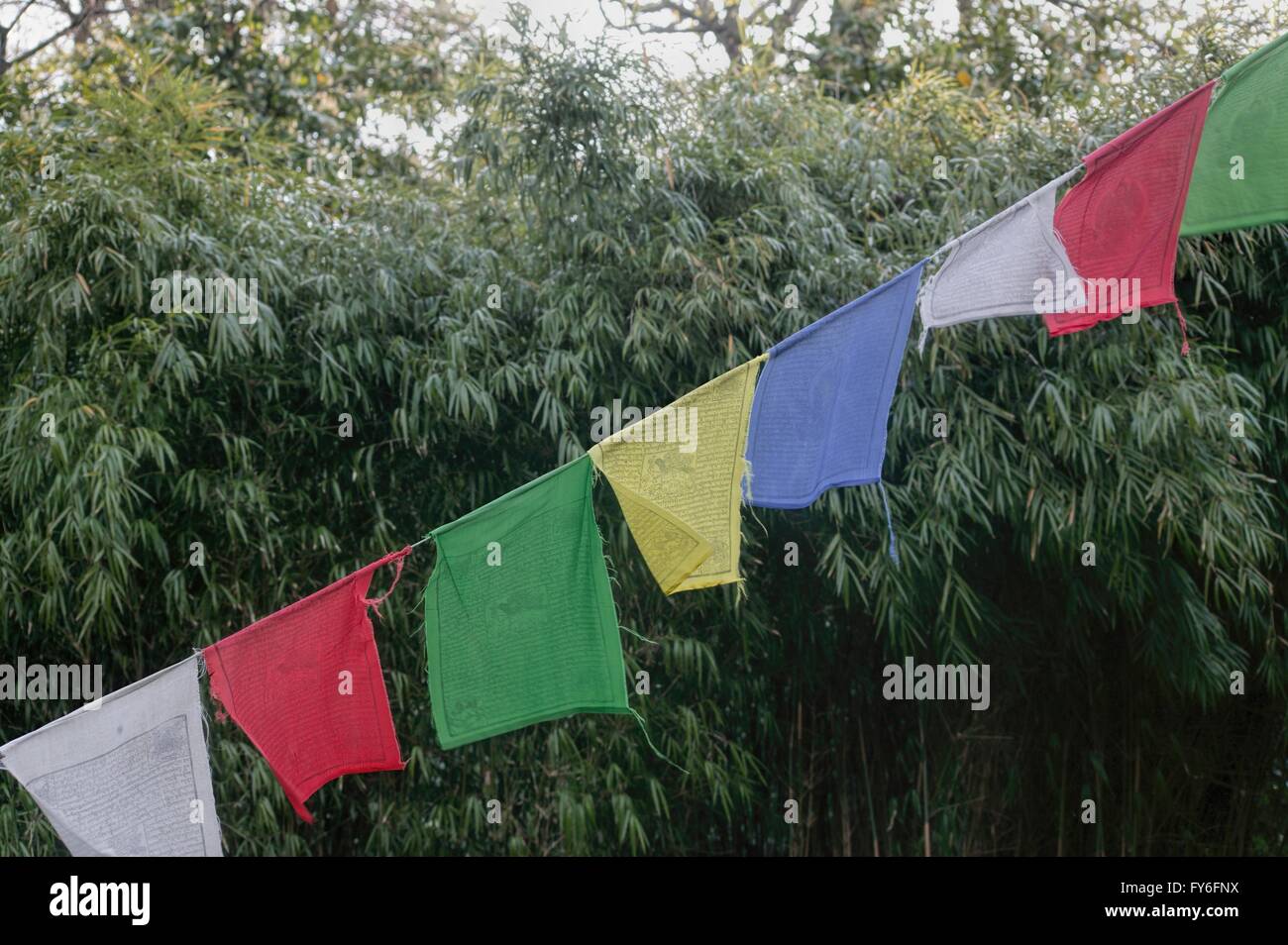 coloured Himalayan prayer flags Stock Photo - Alamy