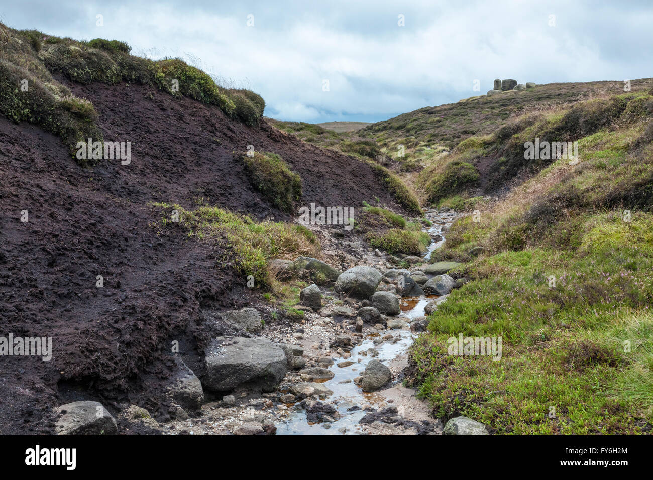 A hag, exposed bare peat on the side of a gully, formed through erosion ...