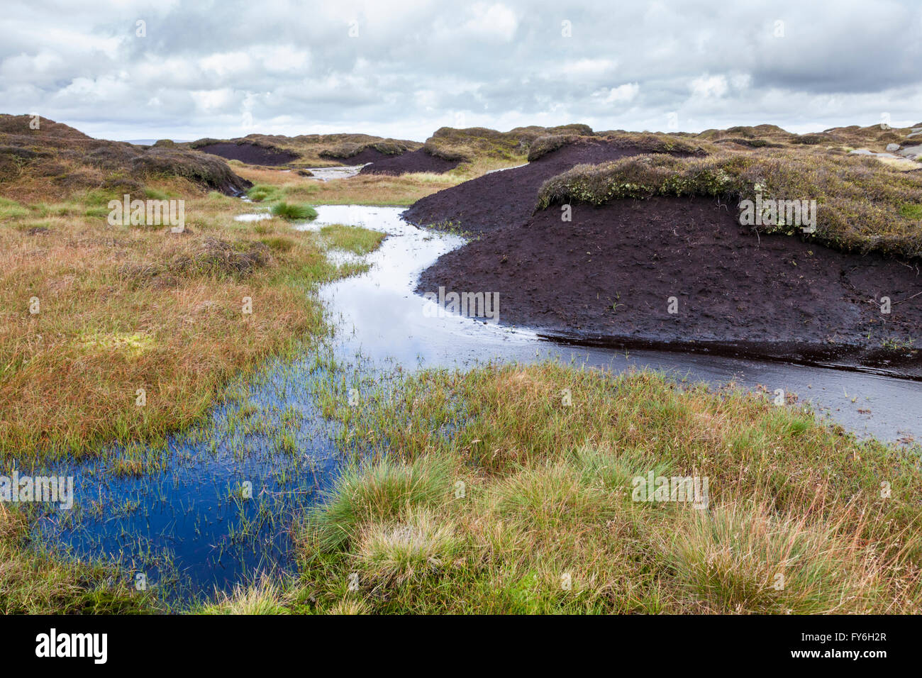 British Bog Peat