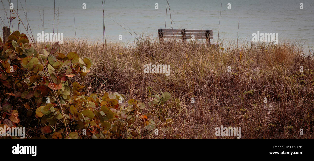 Bench Facing the ocean on a beach in Florida Stock Photo - Alamy