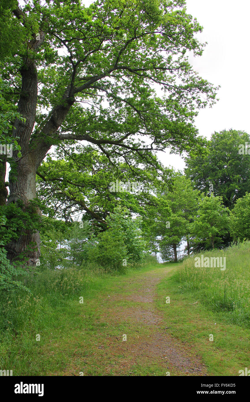 Naas road hi-res stock photography and images - Alamy