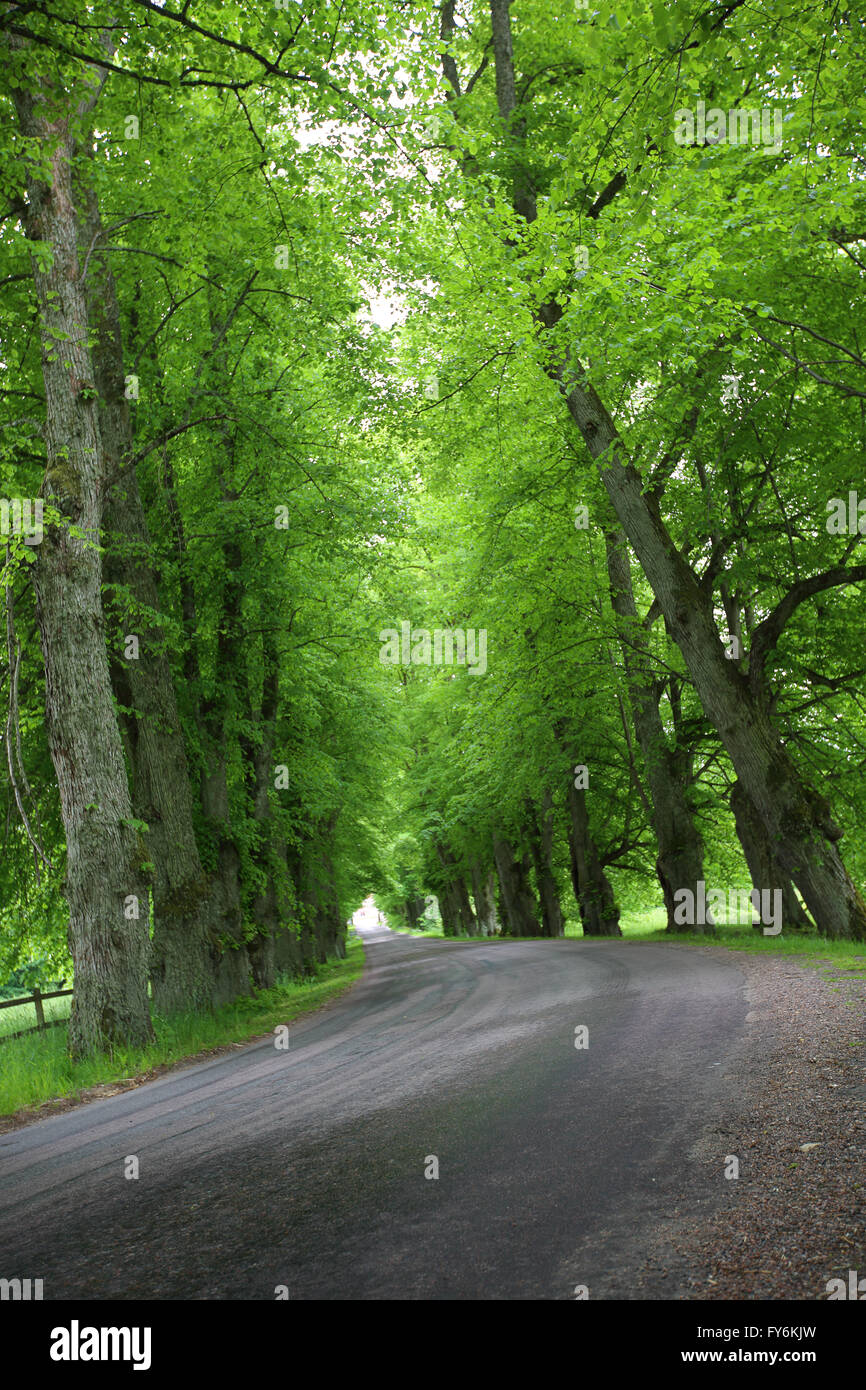 Old naas road hi-res stock photography and images - Alamy