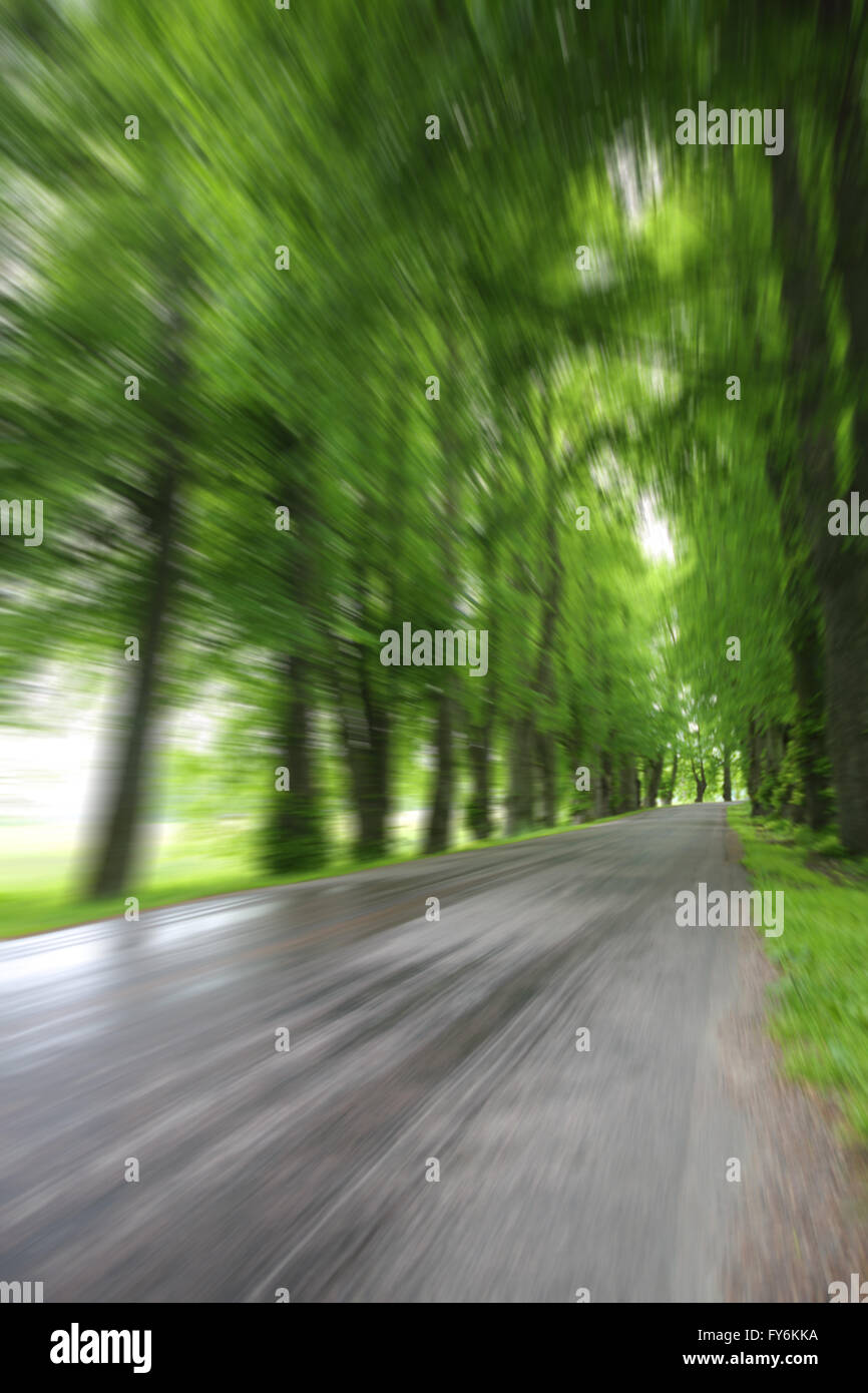 Narrow road between forest hi-res stock photography and images - Alamy