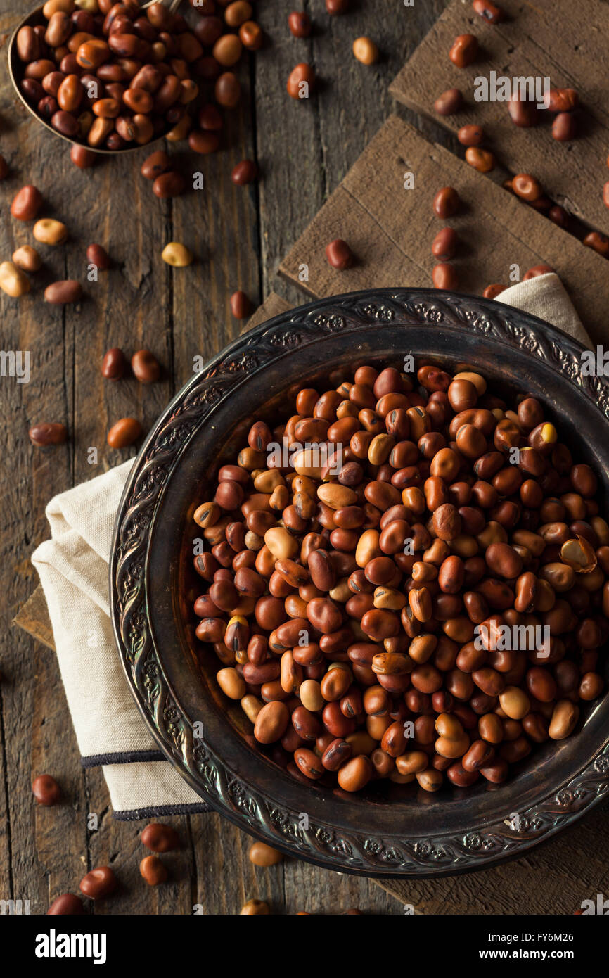 Raw Dry Organic Fava Beans in a Bowl Stock Photo - Alamy